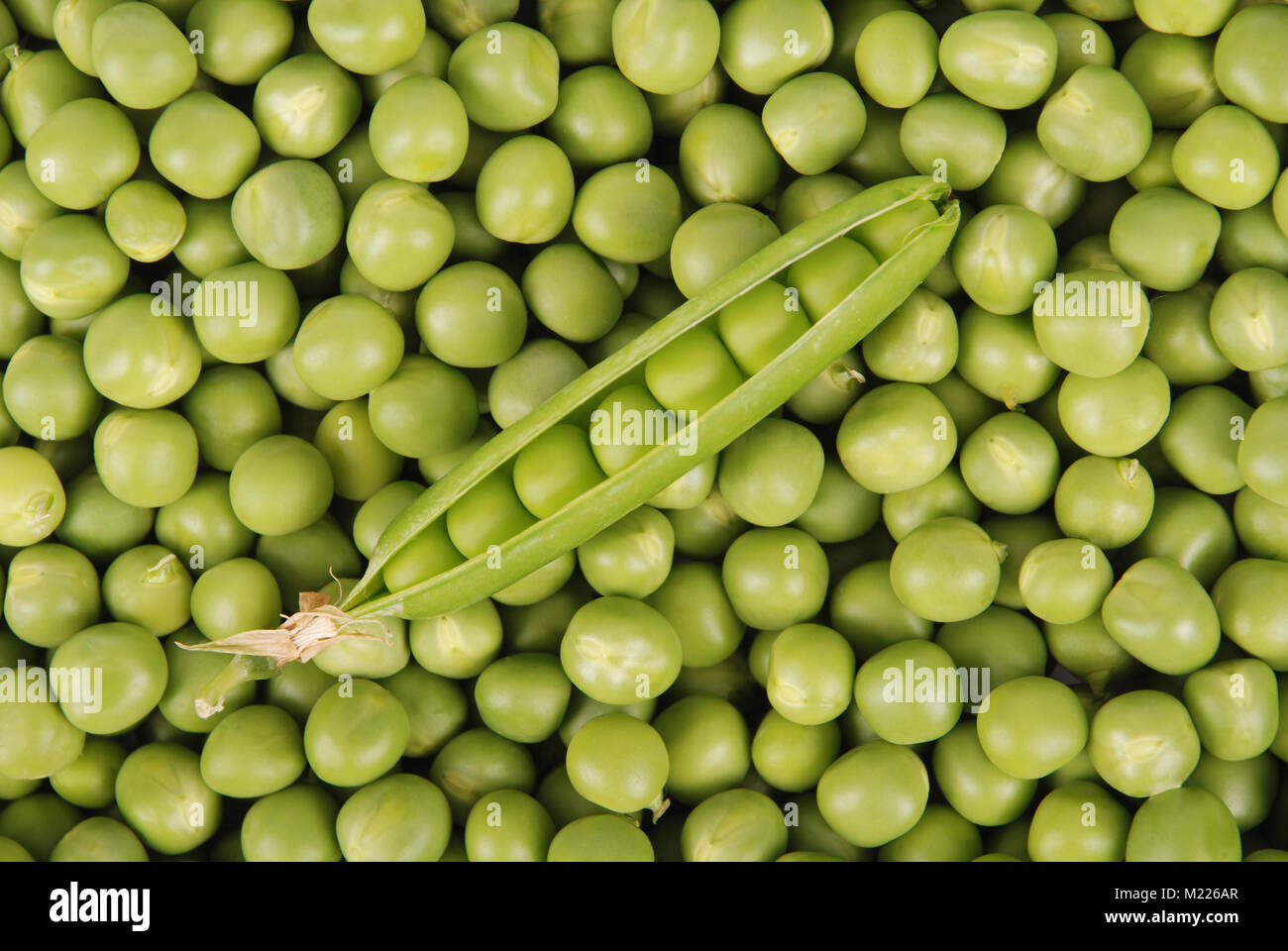 Peas green color food agriculture fresh texture photo stock Stock Photo ...