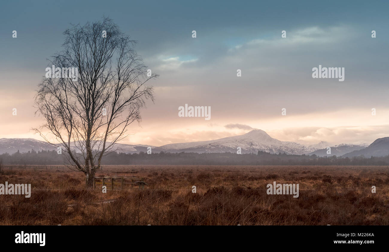 Flanders moss nature reserve hi-res stock photography and images - Alamy