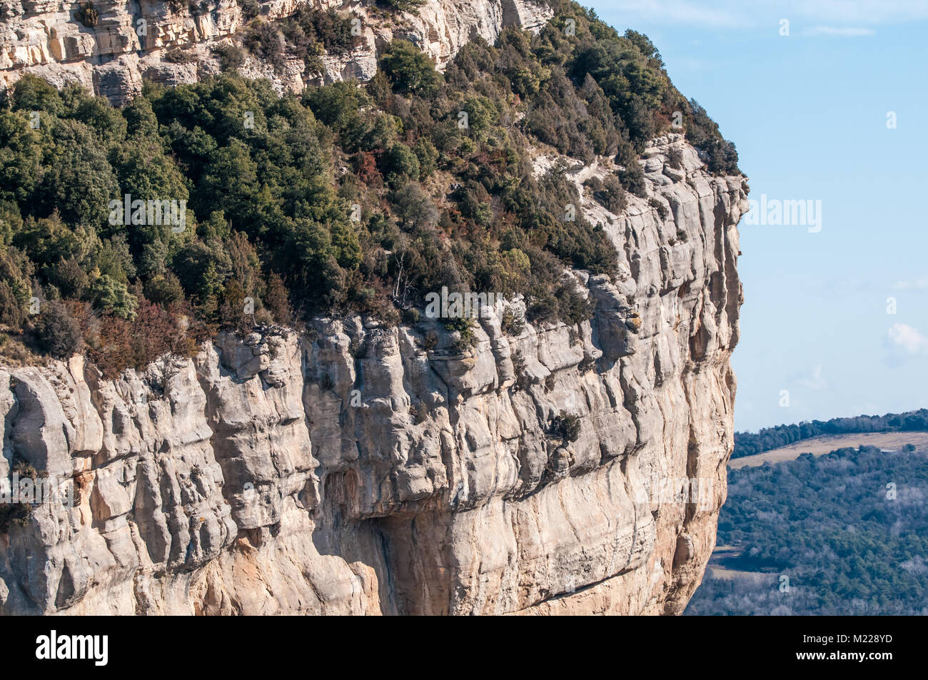 tavertet cliffs with some plants, tavertet, Catalonia, Spain Stock ...