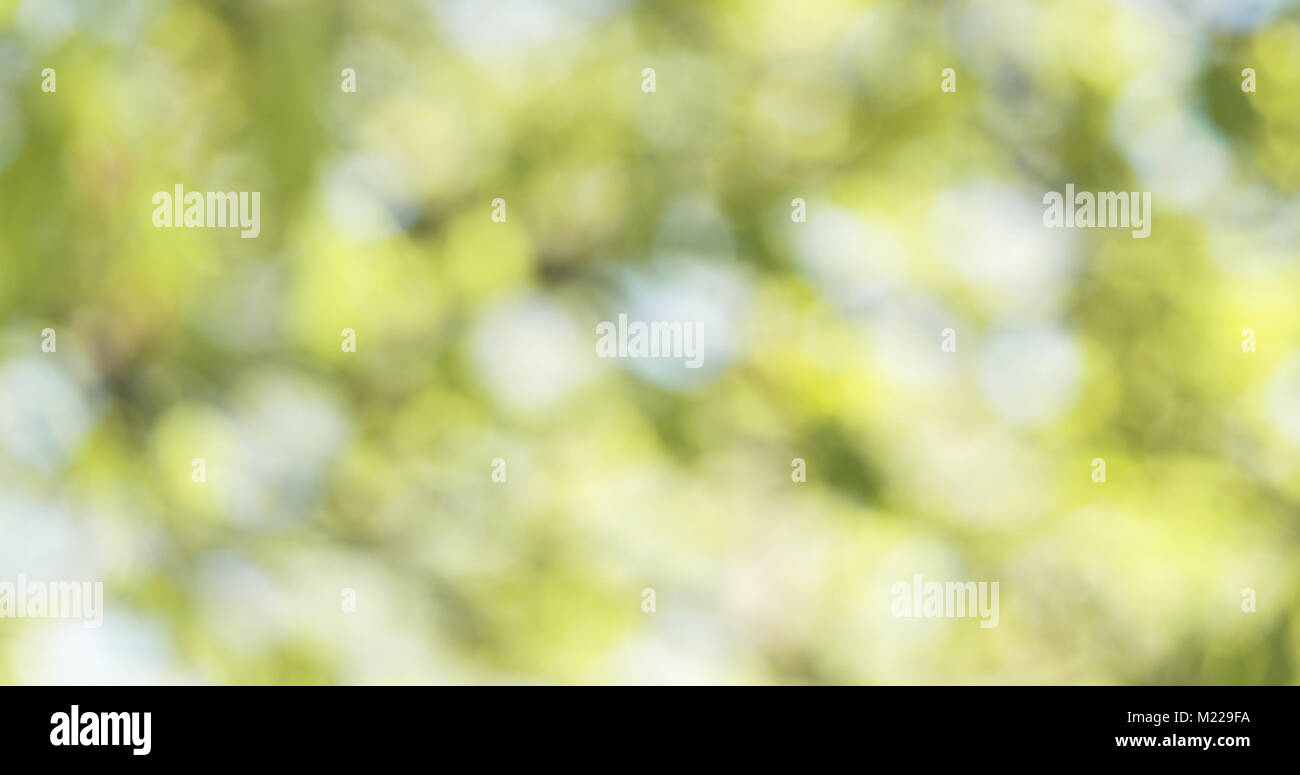 Blurred outdoor background in a garden Stock Photo - Alamy