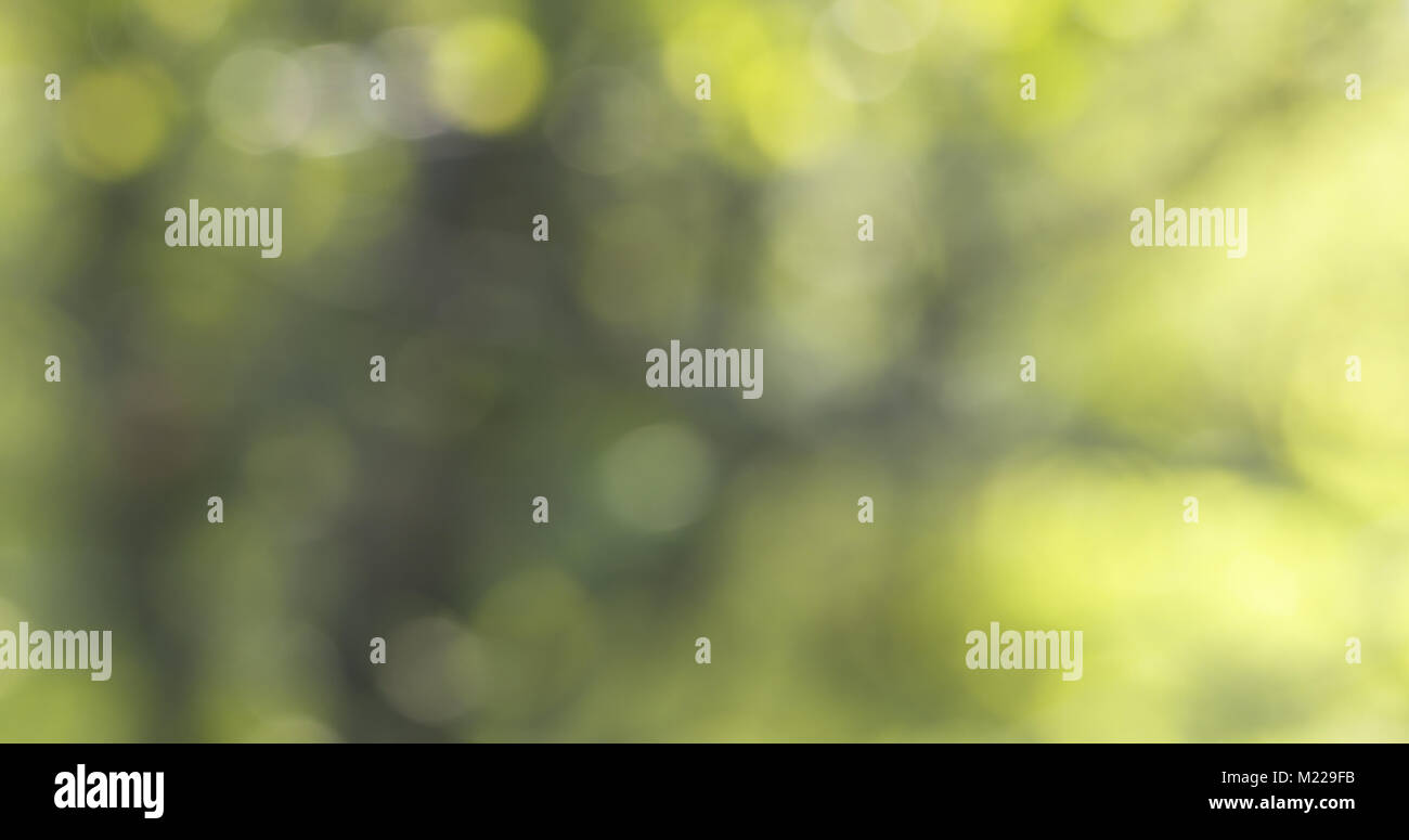 Blurred outdoor background in a garden Stock Photo - Alamy