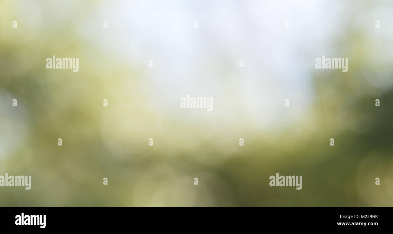 Blurred outdoor background in a garden Stock Photo - Alamy