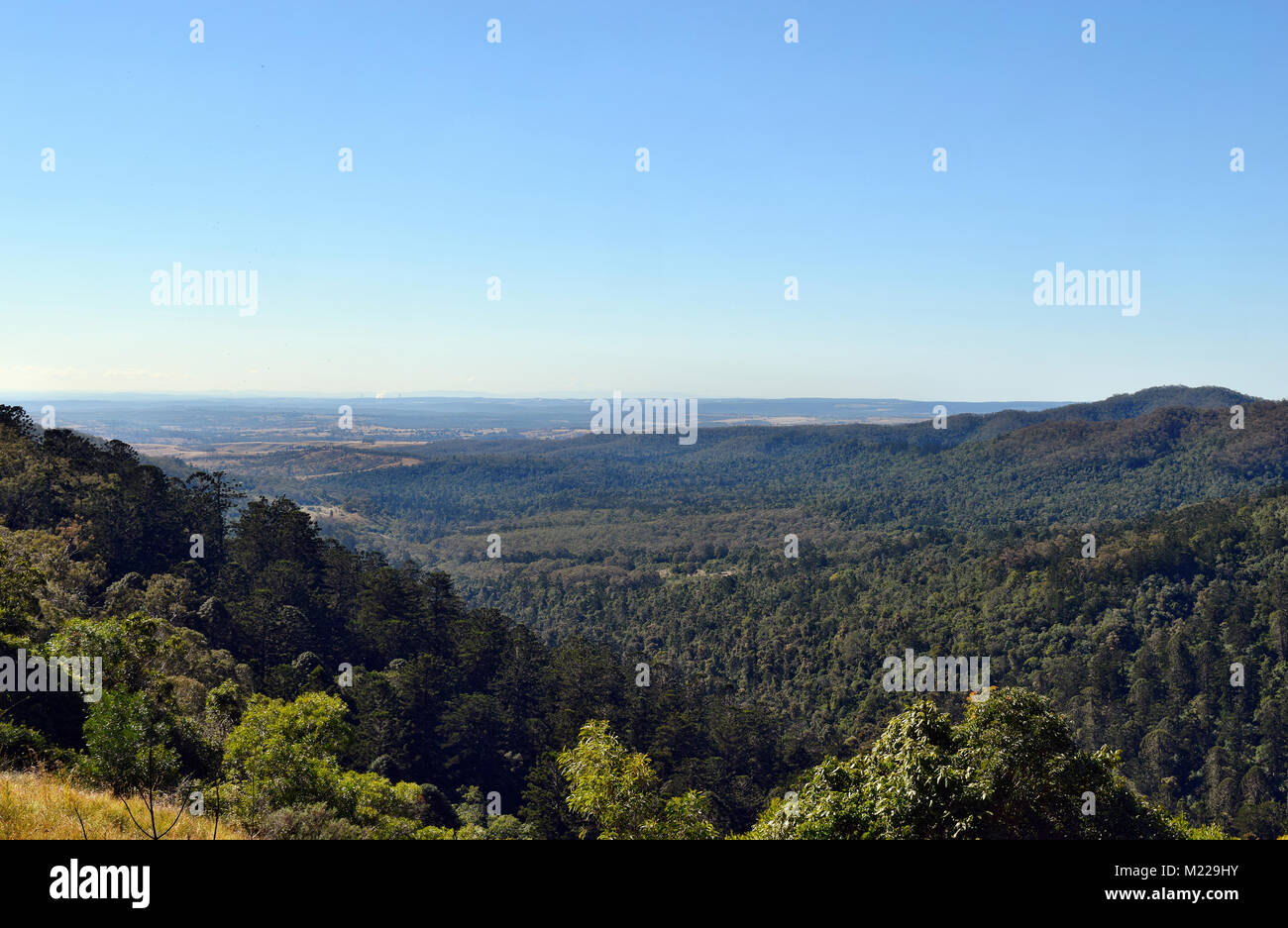 Landscape in Bunya National Park, Queensland, Australia Stock Photo - Alamy