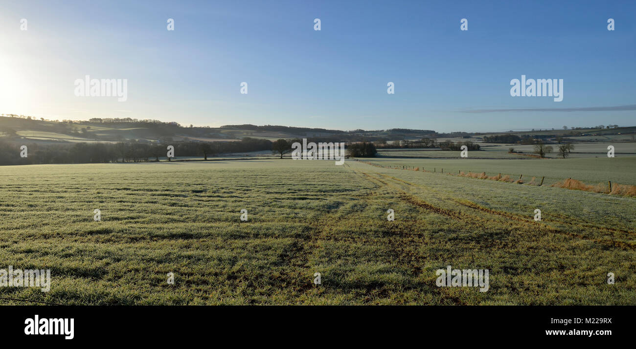 Winter Sun on Slape Moor & Holme Moor, Wiveliscombe, Somerset Stock ...