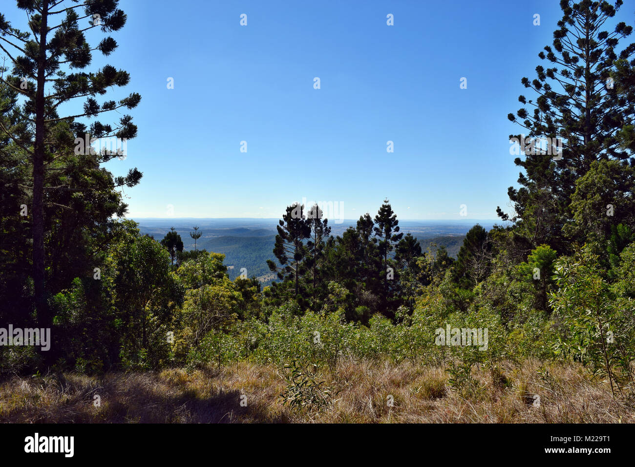 Landscape in Bunya National Park, Queensland, Australia Stock Photo - Alamy