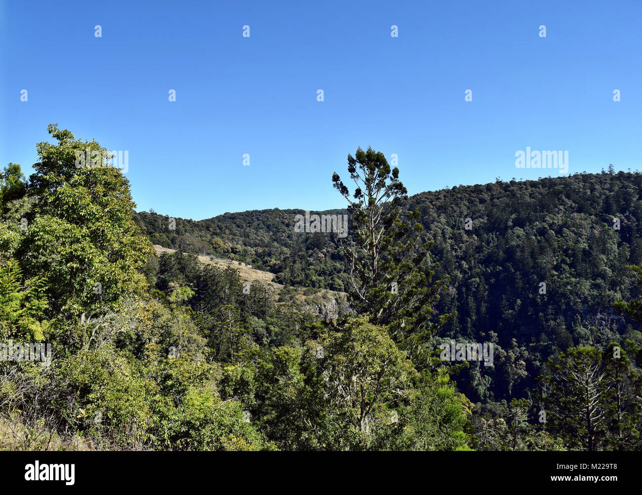 Landscape in Bunya National Park, Queensland, Australia Stock Photo - Alamy
