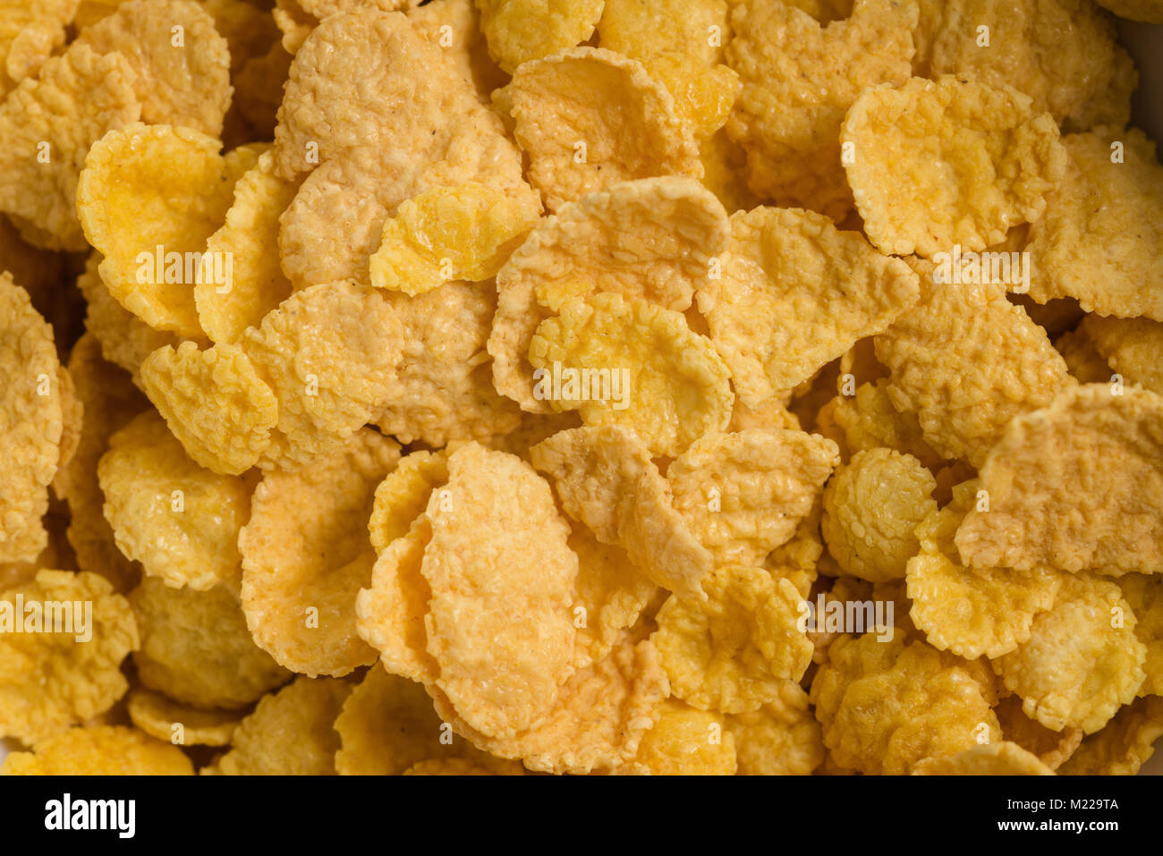 corn flakes in white bowl closeup Stock Photo - Alamy