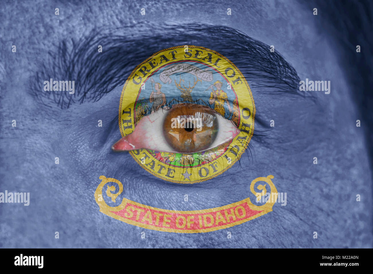 Human face and eye painted with US state flag of Idaho Stock Photo - Alamy
