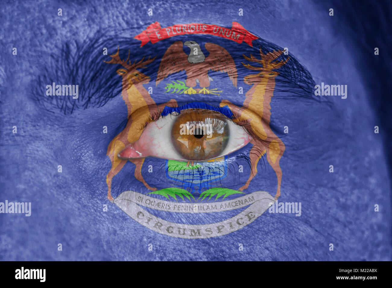 Human face and eye painted with US state flag of Michigan Stock Photo ...