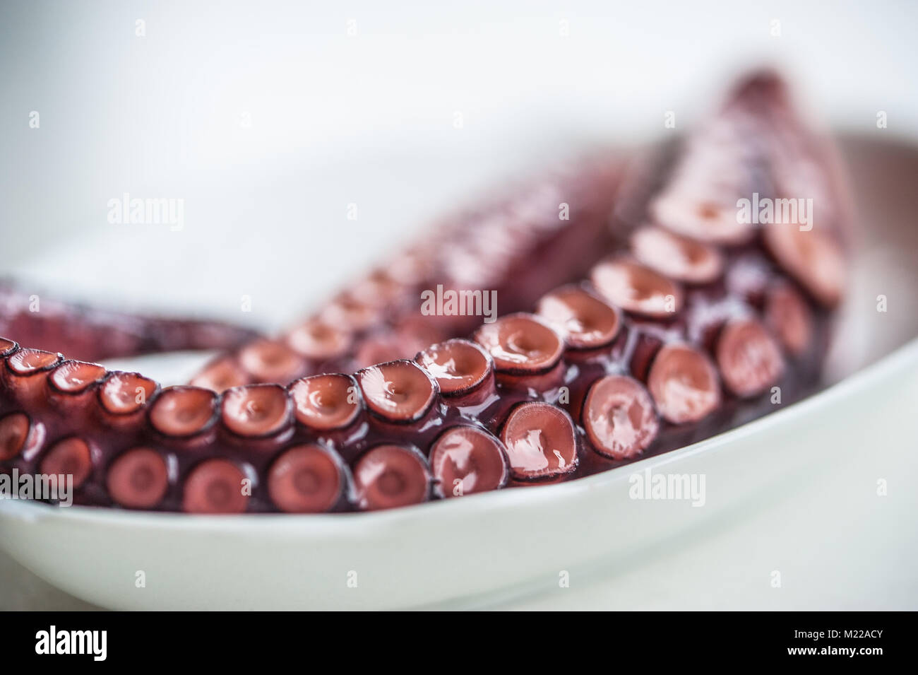 Tentacles Octopus High Resolution Stock Photography and Images - Alamy