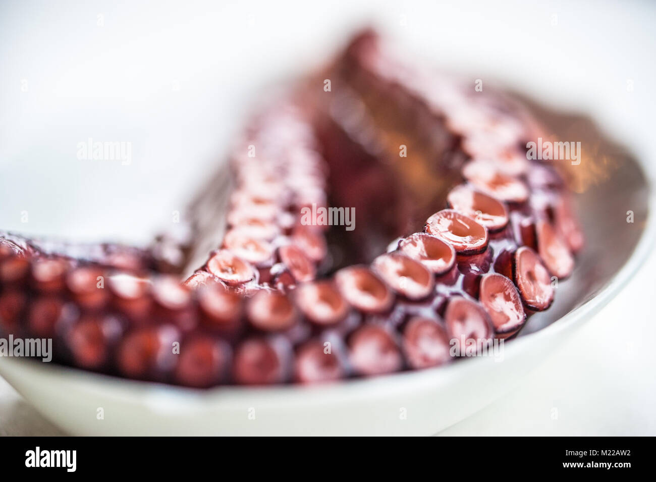Tentacle octopus hi-res stock photography and images - Alamy