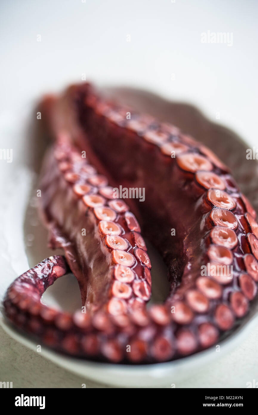Tentacle octopus hi-res stock photography and images - Alamy