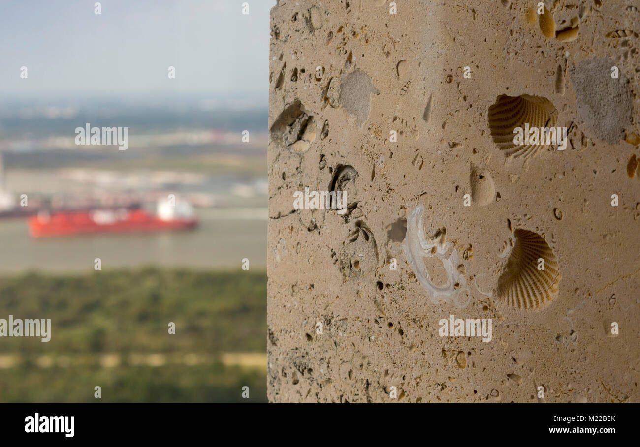Houston, Texas - Shell impressions are visible in the Cordova Shell ...
