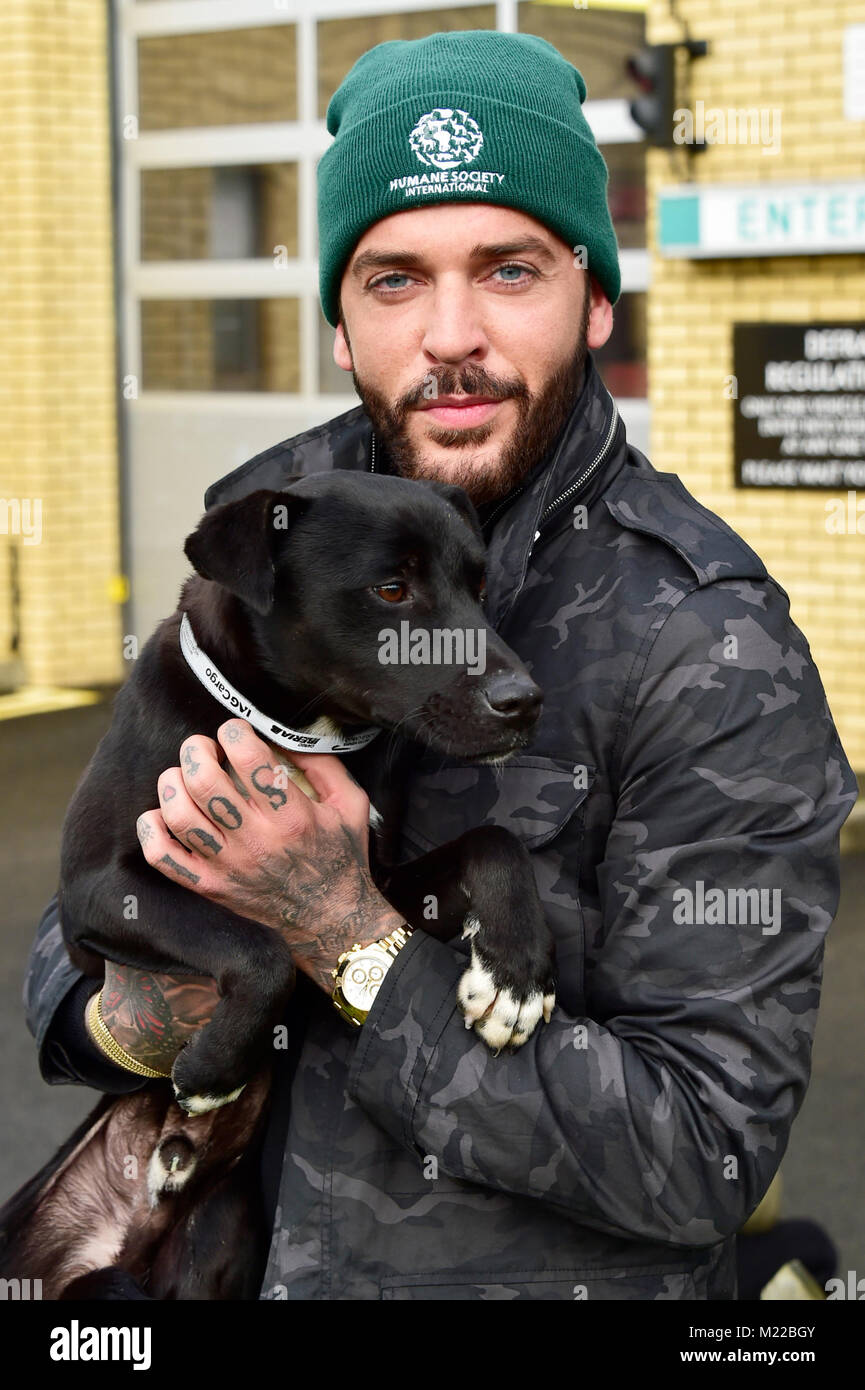 Dogs saved from death on South Korean dog meat farm, arrive in UK for ...