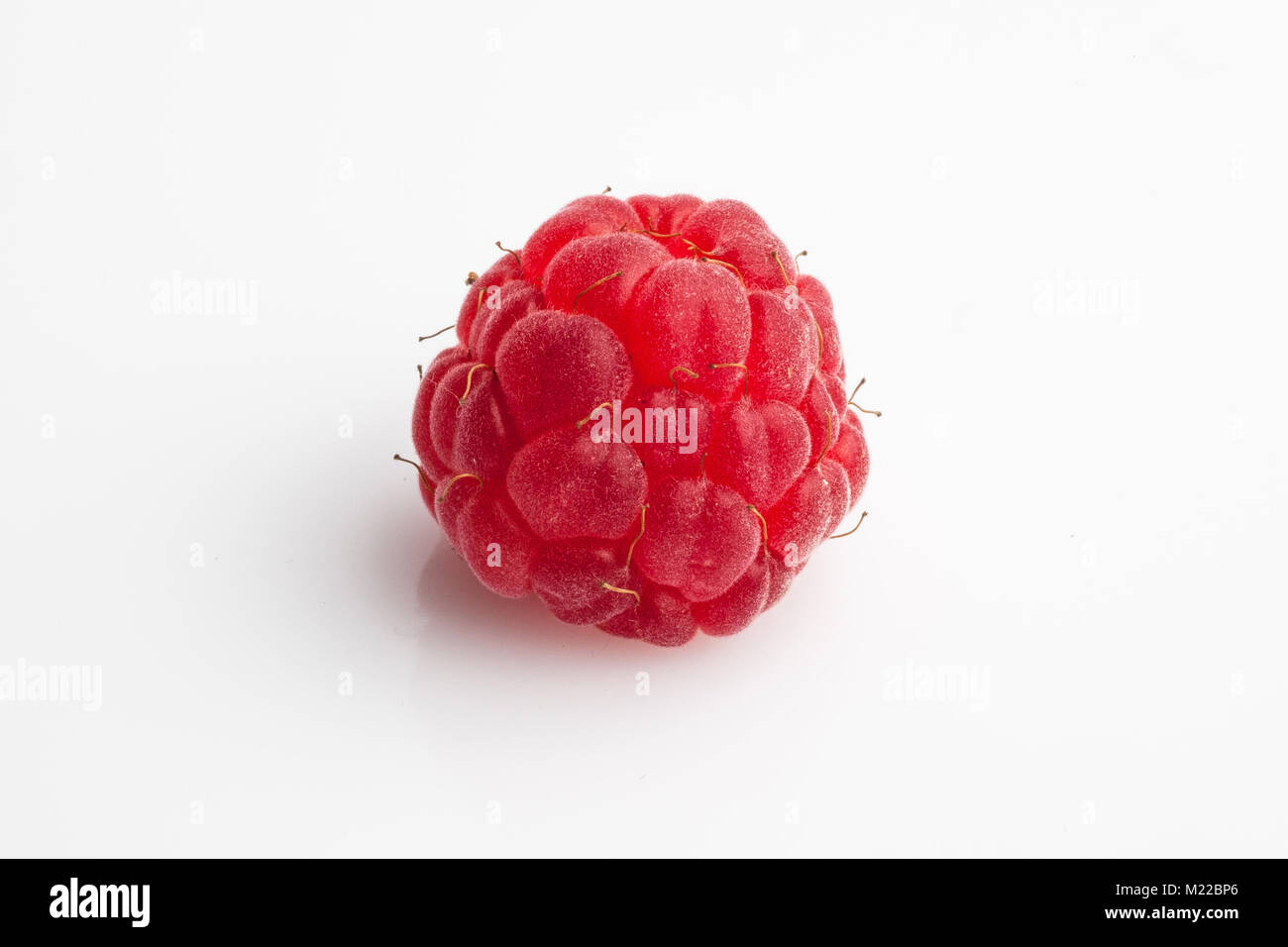 A single raspberry on white background closeup Stock Photo - Alamy