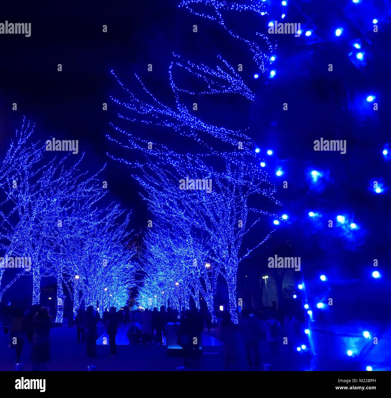 TOKYO, JAPAN - December 28, 2017: Shibuya Blue Tunnel or Ao no Dokutsu ...