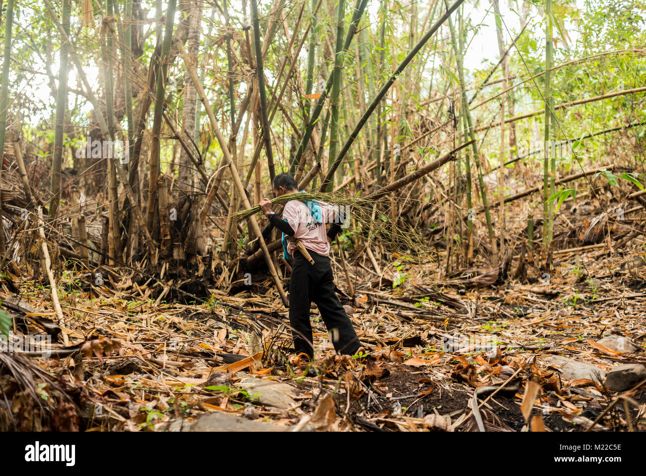 Nito product hi-res stock photography and images - Alamy