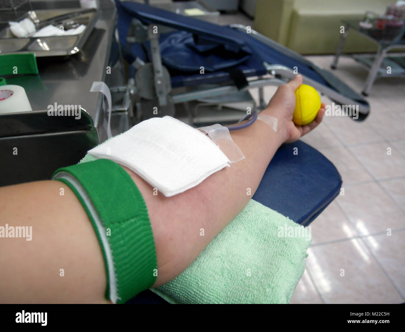 Arm of blood doner during blood donation with arm strap squeezing ...