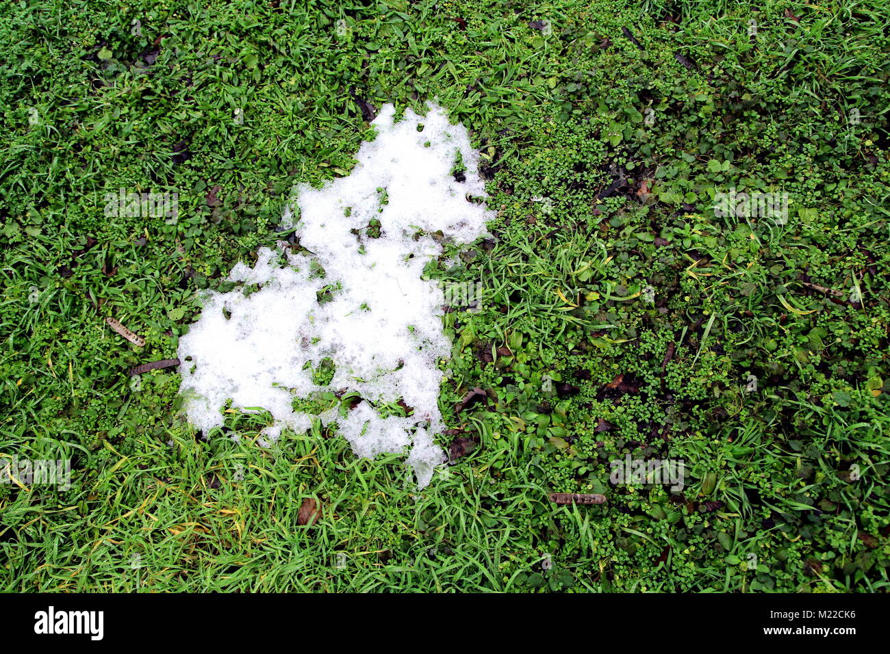 Melting ice on the green grass Stock Photo - Alamy