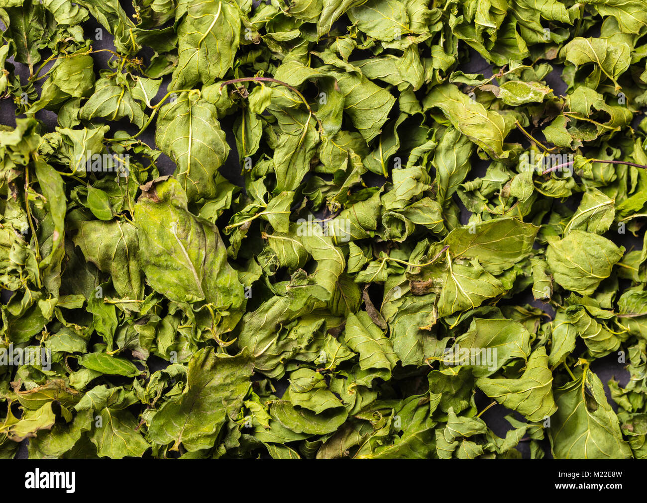background food, texture of dry green tea Stock Photo - Alamy