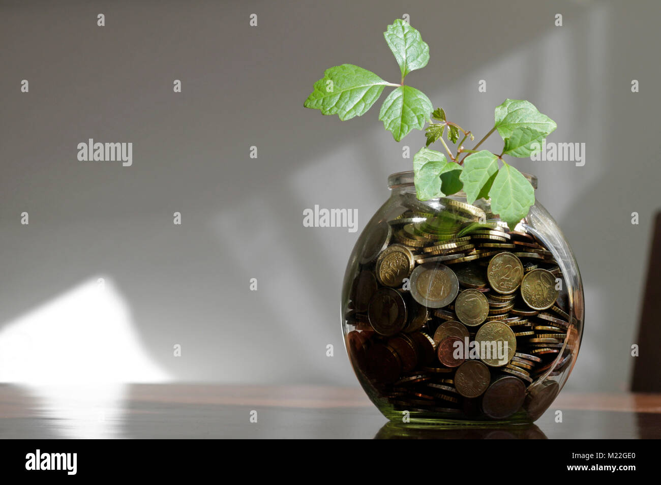 Plant growing from coins stack hi-res stock photography and images - Alamy