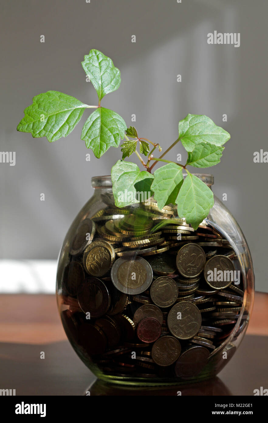 Plant growing from coins stack hi-res stock photography and images - Alamy