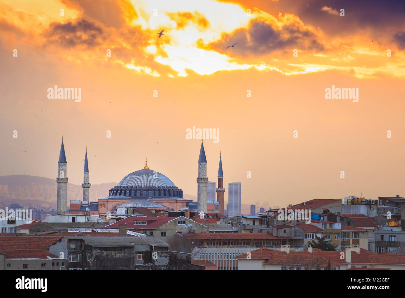 Istanbul view from top of the roof that placed inner city Stock Photo ...