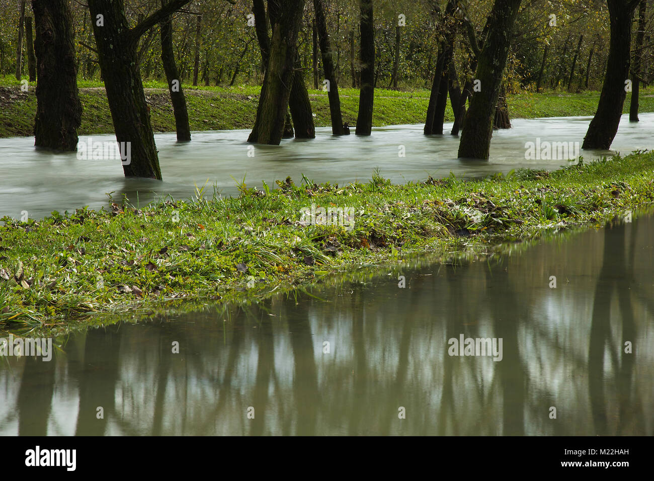 Floods - river overflows its banks and flooded forest and field Stock ...