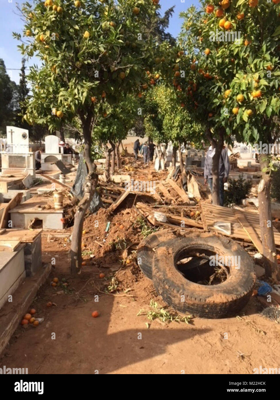 The cemetery paths in Mandra, Greece, served as a natural collection ...