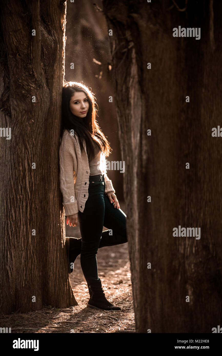 Beautiful Mysterious Woman Posing in The Forest, Old Classic Style ...