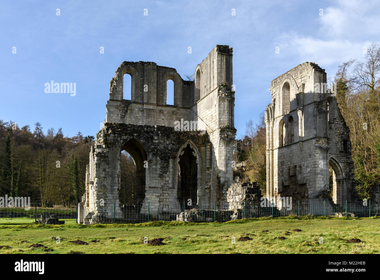 Roche Abbey Gothic remains Maltby South Yorkshire,UK Stock Photo - Alamy