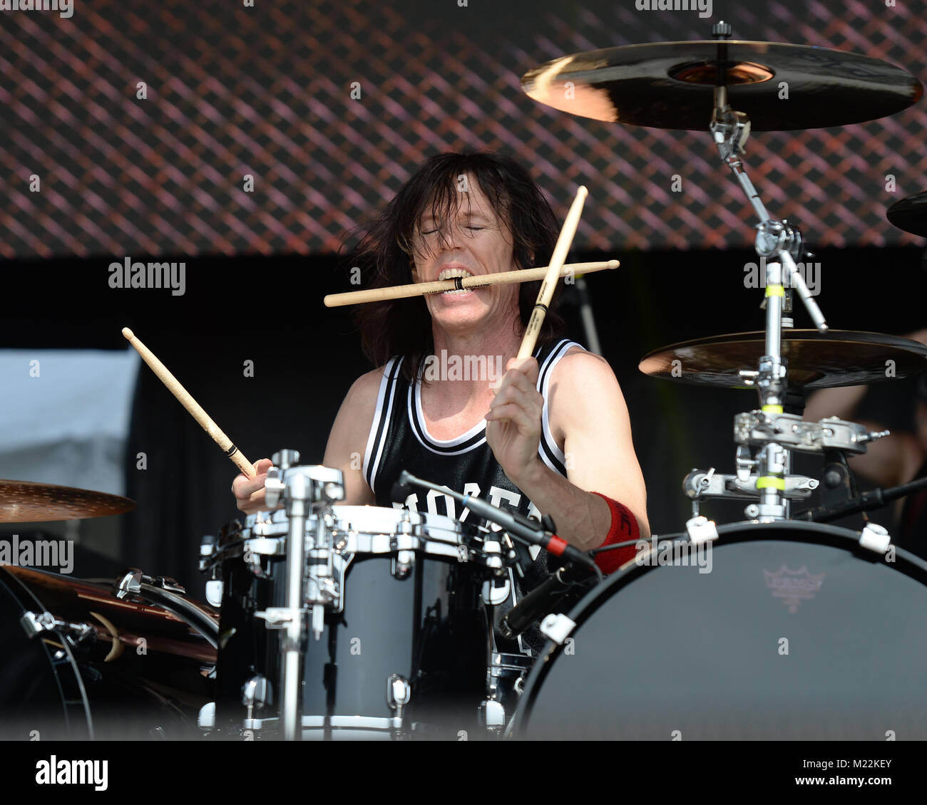 Zoltan chaney hi-res stock photography and images - Alamy