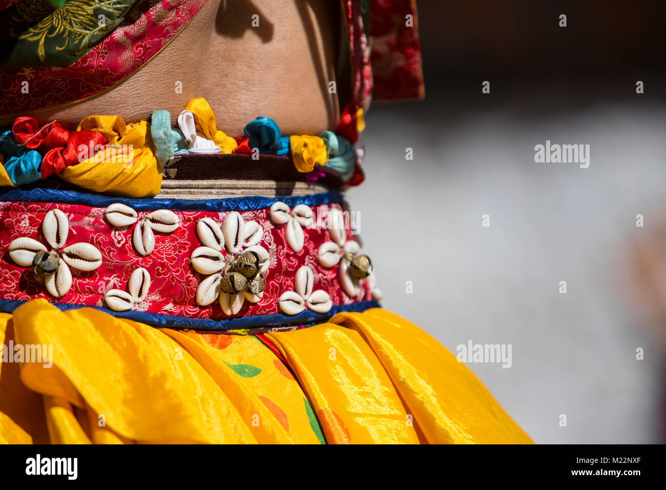 Cowrie shells hi-res stock photography and images - Alamy