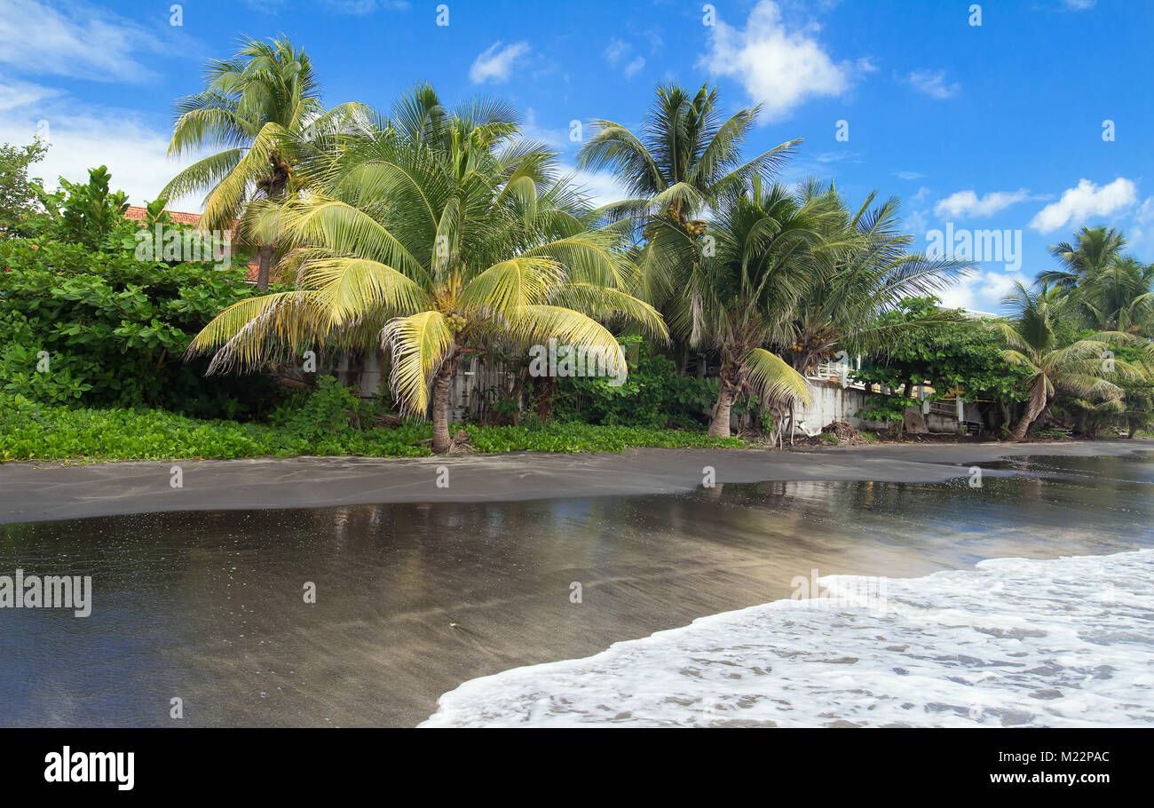 The Caribbean beach , Martinique island Stock Photo - Alamy