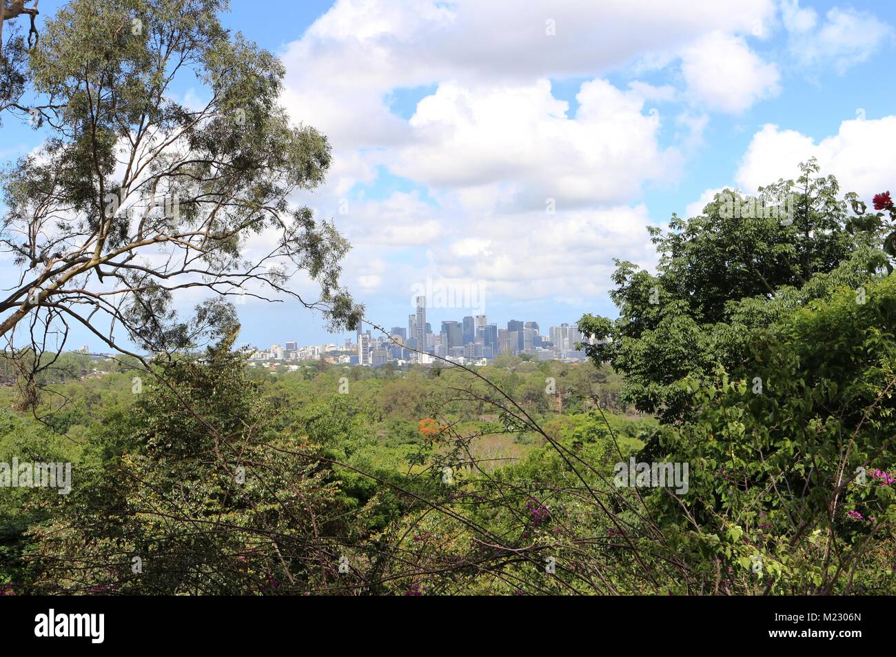 Brisbane City view through the bush Stock Photo - Alamy
