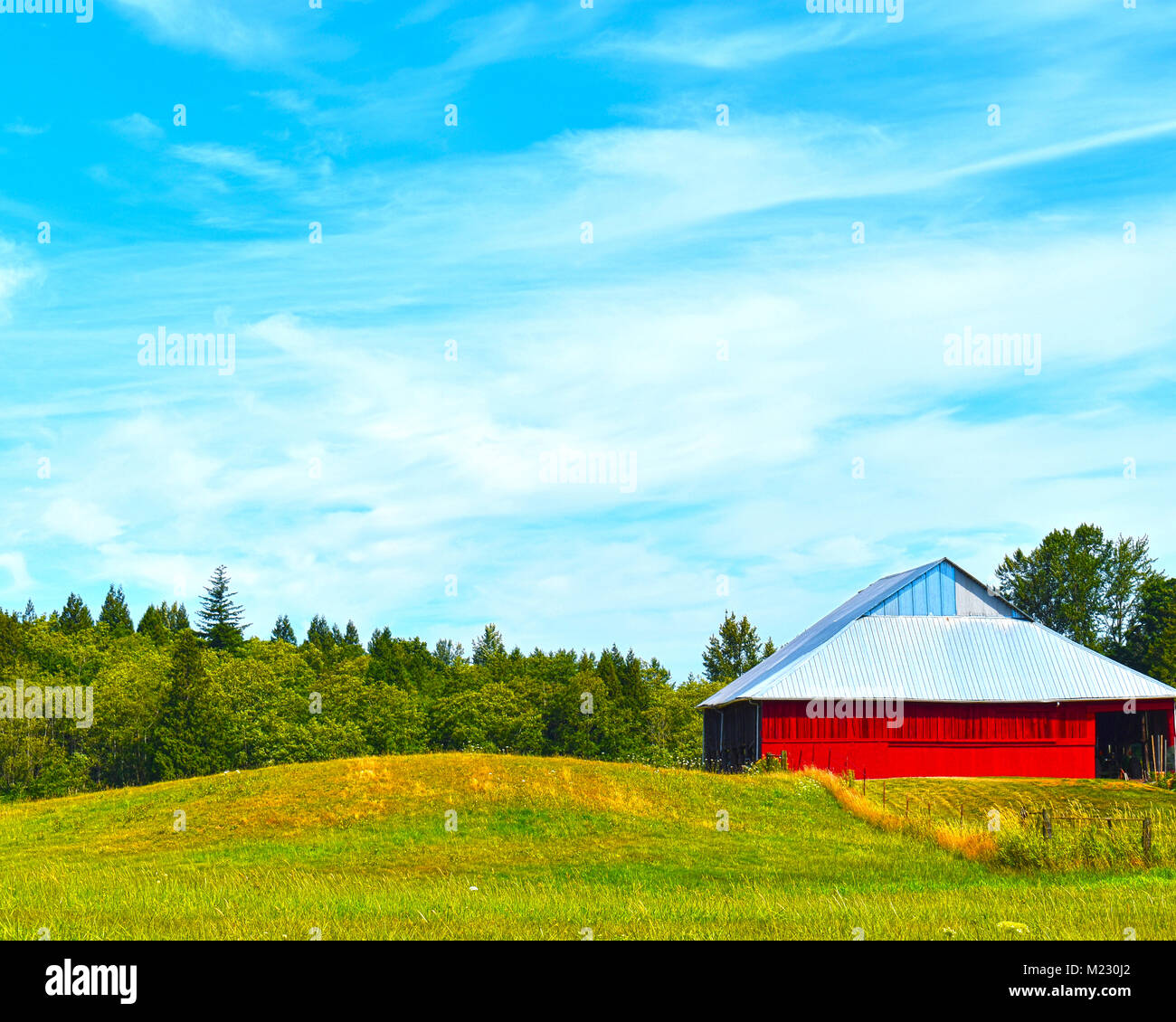 Red barn on a hill with green pasture in the foreground and evergreen ...