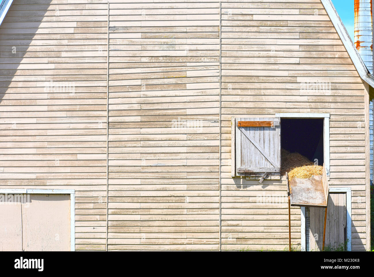 A beige, cream colored barn close up showing the hay coming out the ...