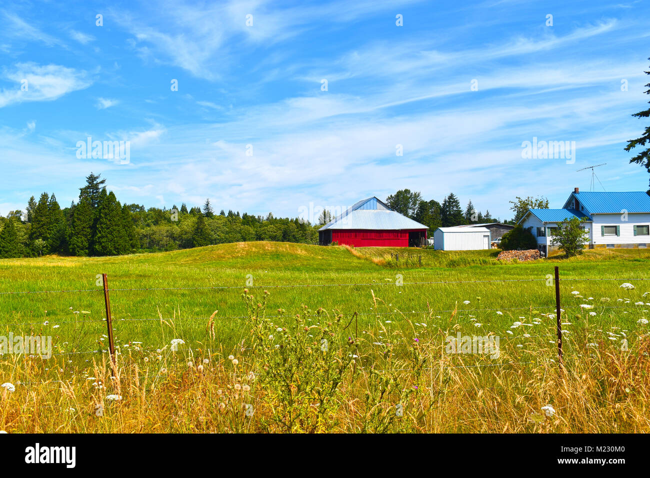 Pastoral Scene Stock Photos & Pastoral Scene Stock Images - Alamy