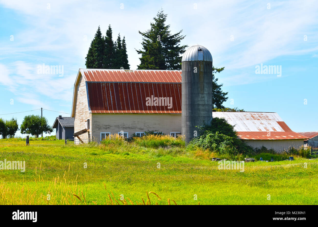 A surreal farm pasture with barns and silo in the pacific northwest ...