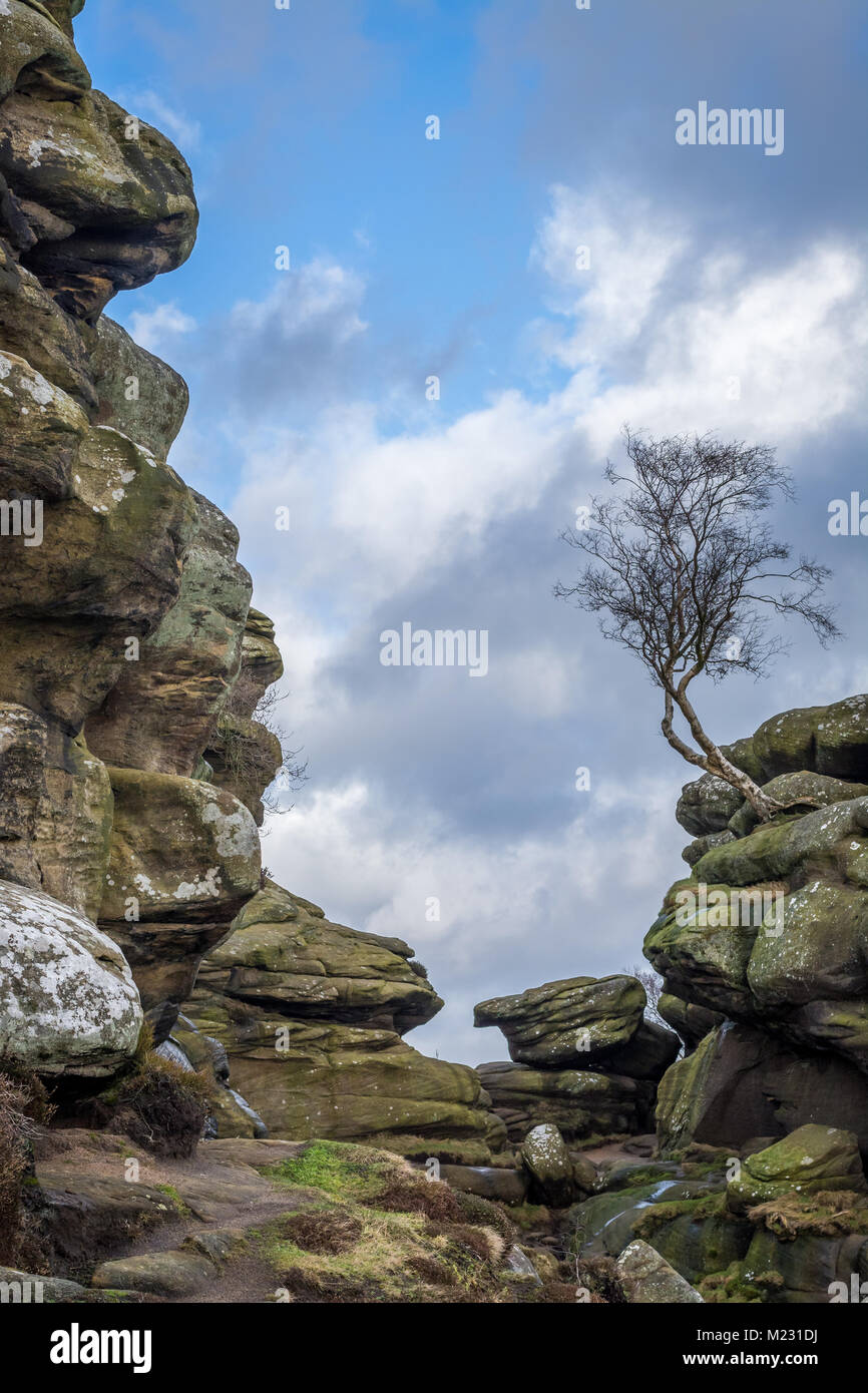 Brimham Famous Rocks In Yorkshire Stock Photos & Brimham Famous Rocks ...