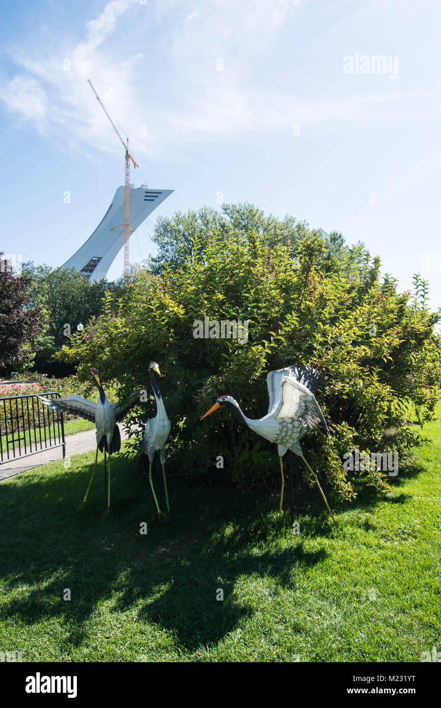 Storks at the Botanical gardens Montreal Canada standing pose posing ...