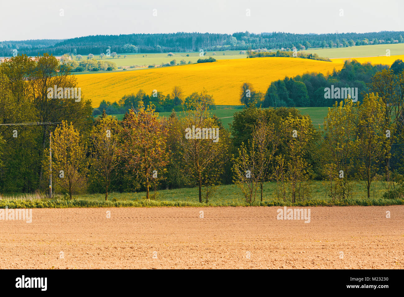Beautiful spring rural agriculture landscape. Europe highland Stock ...