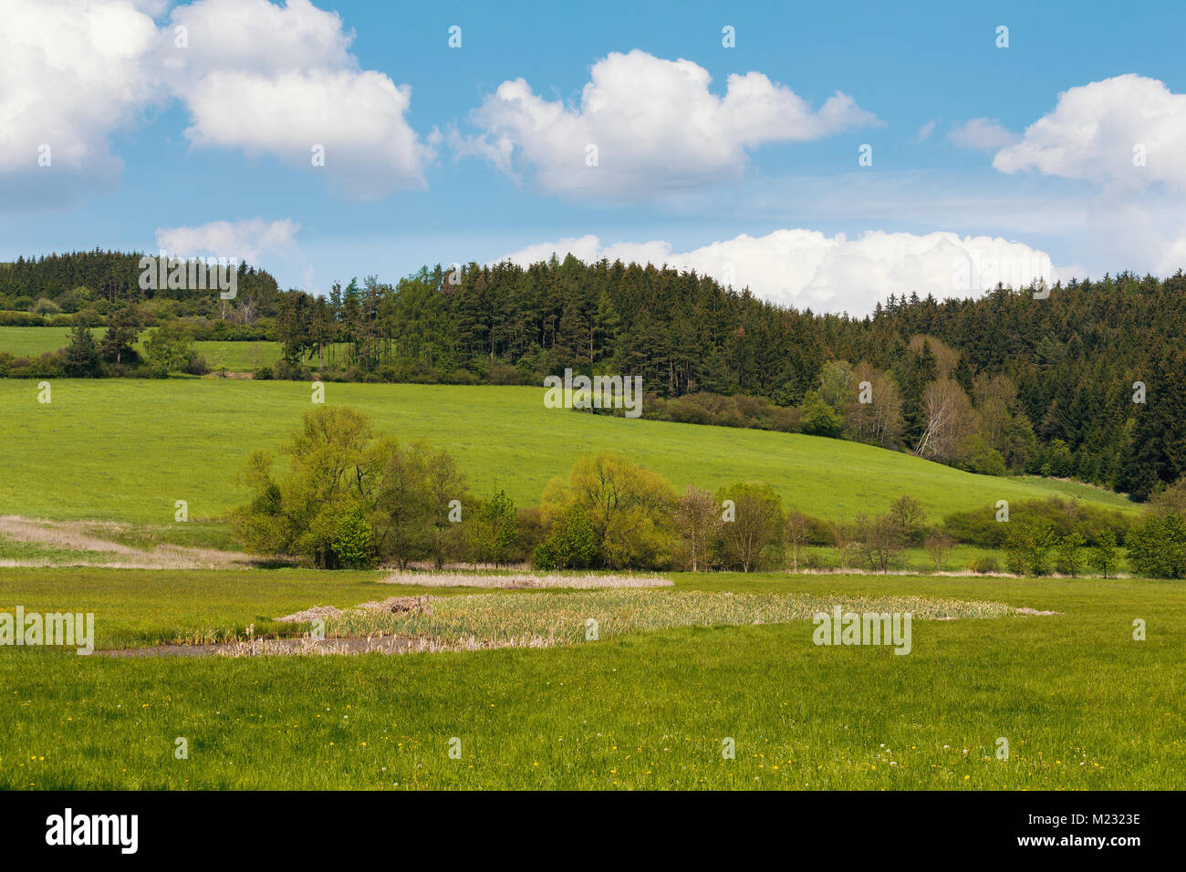 Beautiful spring rural agriculture landscape with green meadow. Europe ...