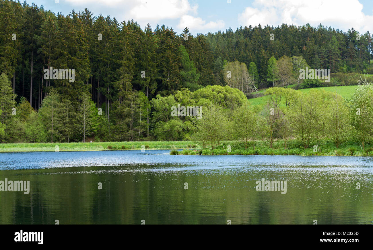 Beautiful spring landscape with small pond. Europe highland countryside ...