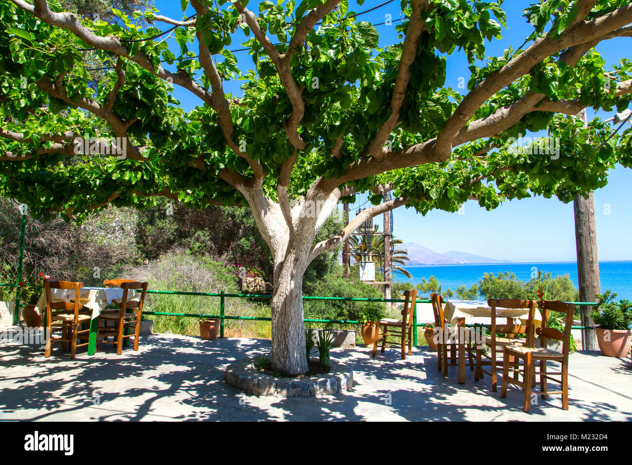 Olive tree in a typical greek landscape hi-res stock photography and ...