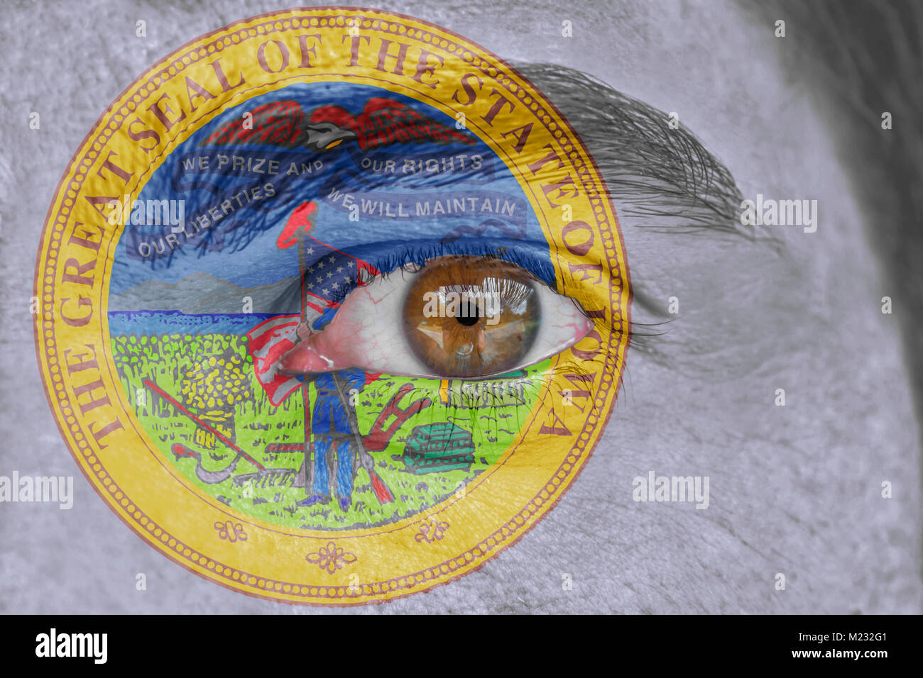 Human face and eye painted with US state seal flag of Iowa Stock Photo ...