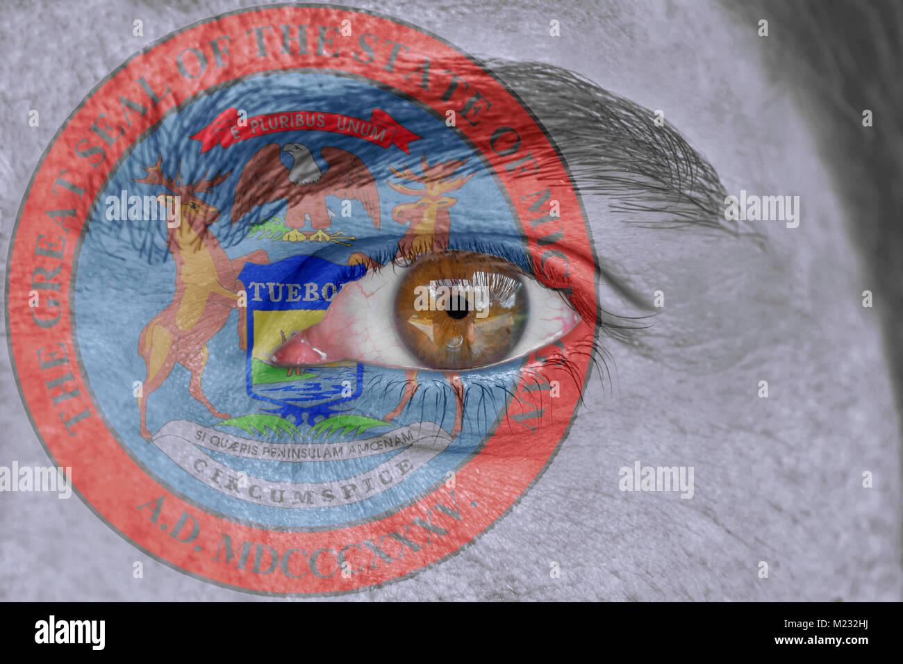 Human face and eye painted with US state seal flag of Michigan Stock ...