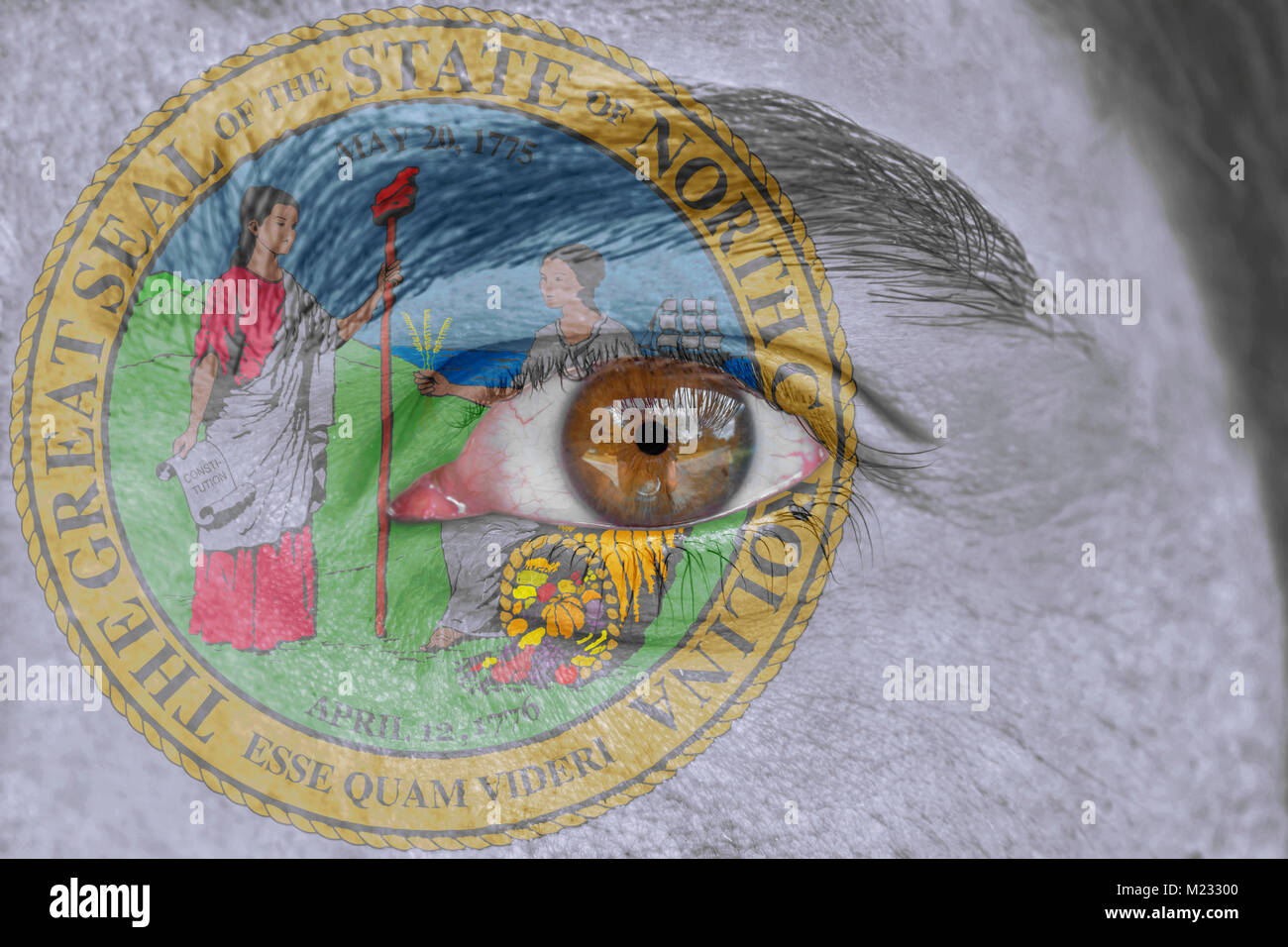 Human face and eye painted with US state seal flag of North Carolina ...