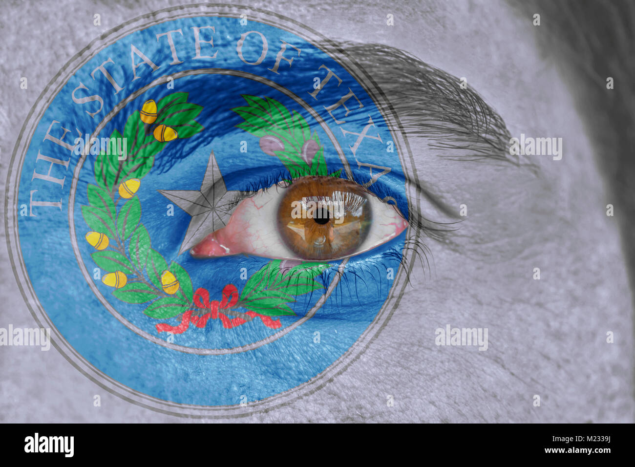 Human face and eye painted with US state seal flag of Texas Stock Photo ...