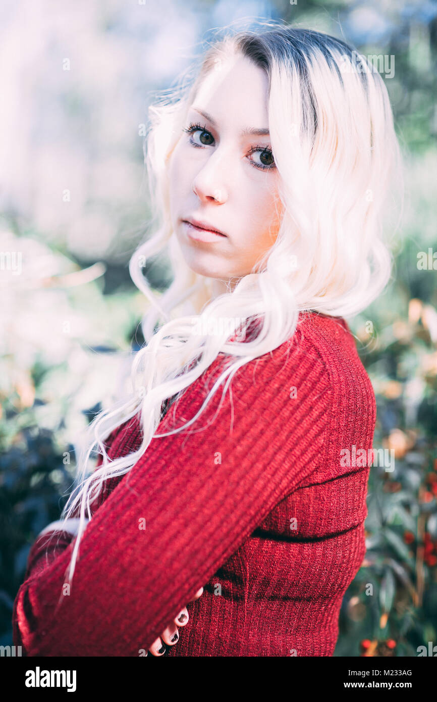 Red and Gold Stock Photo - Alamy